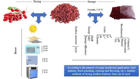 Food Drying Methods