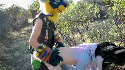 Fursuit Sex Video 67