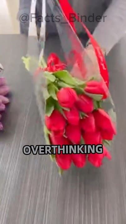 Random Curiosities You Didnt Know 🙉 Shorts Oddlysatisfying Asmrsounds Youtube