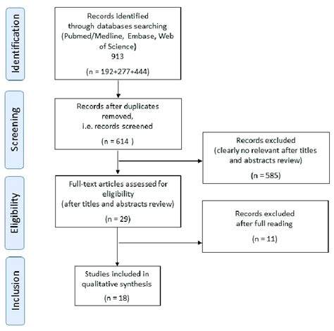 Flowchart Describing The Search Strategy Download Scientific Diagram