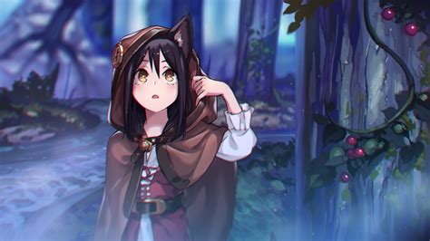 Hoodie Anime Girl Hd Wallpapers Wallpaper Cave