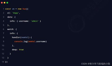 Vuejs 中的 Watch 侦听器深度解析 Csdn博客