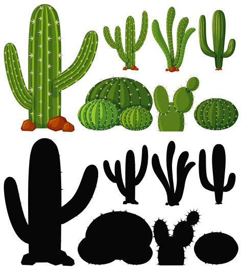 Cactus Black Free Vector Art 162 Free Downloads