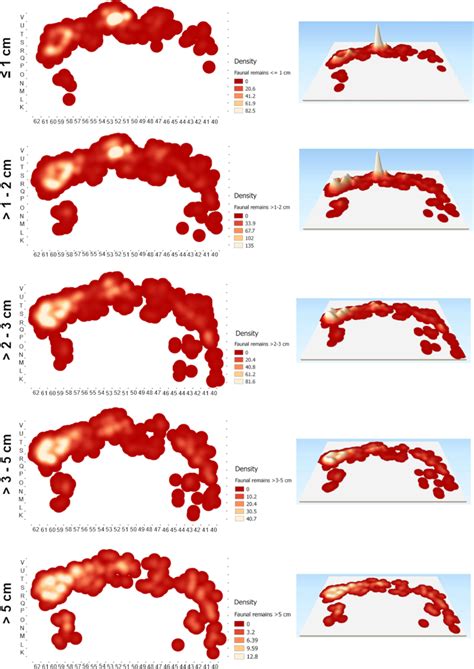 density maps in 2d and 3d showing the distribution of faunal remains