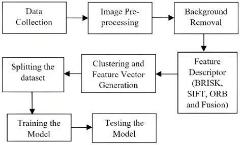 Figure 1 From Fusion Of Vision Based Features For Human Activity