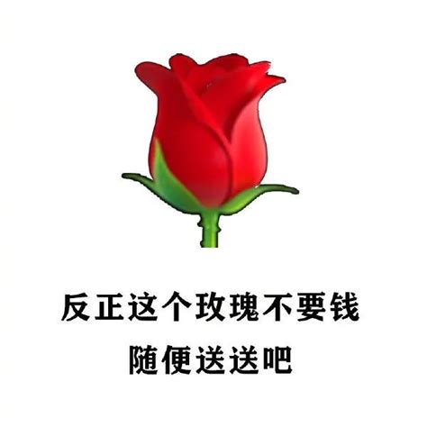 工作群里常见表情的真正含义…… csdn博客
