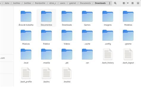 Bug Creating A Bottle Creates Useless Symlinks In `homedocuments` · Issue 2548