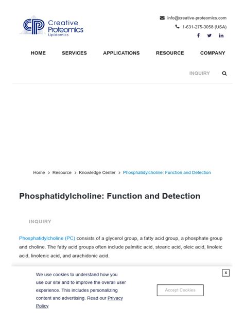 Phosphatidylcholine Function And Detection Lipidomics Creative