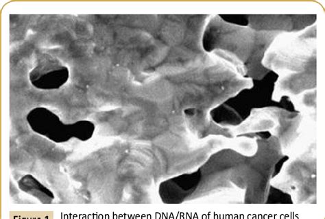 Figure 1 From Simulation Of Temperature Distribution Of Dna Rna Of
