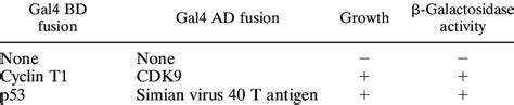 Interaction Of Human Cyclin T1 And Hiv 1 Tat With Granulin Download Table