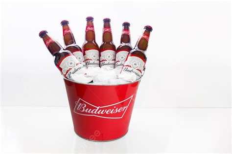 Budweiser Beer Background Images Hd Pictures And Wallpaper For Free Download Pngtree