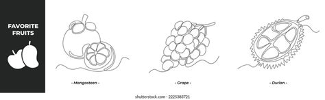 Single One Line Drawing Fruits Set Stock Vector Royalty Free