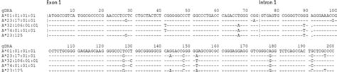 Partial Nucleotide Sequence Alignment Of The Exon 1intron 1 Sequences