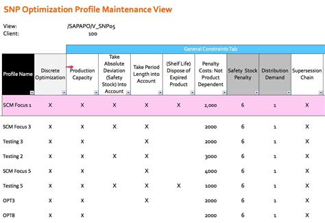 How To Best Set Up The Sap Snp Optimizer Brightwork Research And Analysis