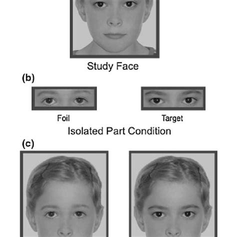 The Face Composite Task A Composite Face Is Created By The Joining The Download Scientific