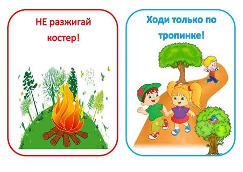 Что Нельзя Делать В Лесу Картинки Для Детей - 59 фото