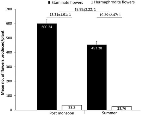 Flower Sex Ratio S H Within A Single Plant In Two Seasons N Download Scientific Diagram