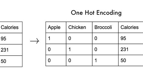 Web Snippets One Hot Encoding