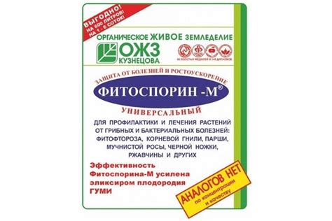 12 лучших средств от фитофторы - Производство, техника, связь