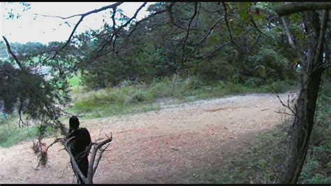 ‘serial Sex Offender In Virginia Caught On Camera Creeping In Park