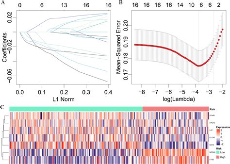 Bioinformatics Profiling Identifies Seven Immune Related Risk Signatures For Hepatocellular