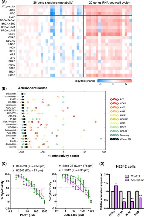 Integrative Transcriptomic Metabolomics Signature Highlights