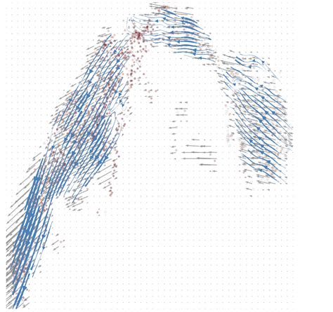 dynamo notebooks nasc seq nasc seq analysis ipynb sparsevfc error