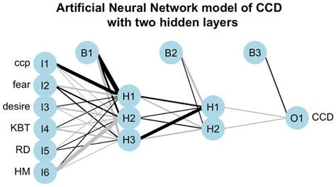 The Neural Network Interpretation Diagram Of The Ann Model With One