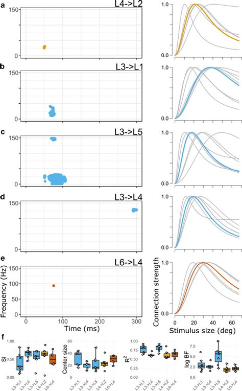 Functional Connections Relaying Information About Stimulus Size And
