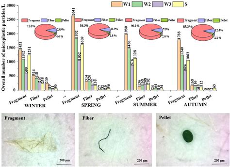 Form Distribution Of Microplastic Particles In Different Stages Of Wwtp