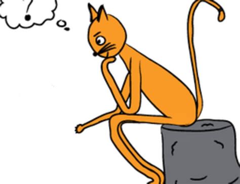 Quantitative Methods Coursera