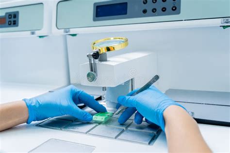Laboratory Assistant Works At Paraffin Wax Dispenser Tissue Embedding Machine Stock Image Laboratory Assistant Works At Paraffin Wax Dispenser Tissue Embedding Machine Stock Image