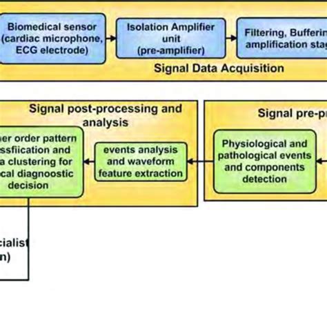 Pdf Phonocardiography Signal Processing