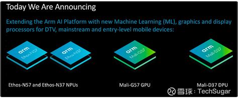 Arm：自定义指令集的灵活性与生态一致性可以兼得 除了指令空间，自定义指令对应的程序出入口也有严格限制。自定义指令在使用过程中出现任何错误时， Arm 的工具链都能及时对 雪球