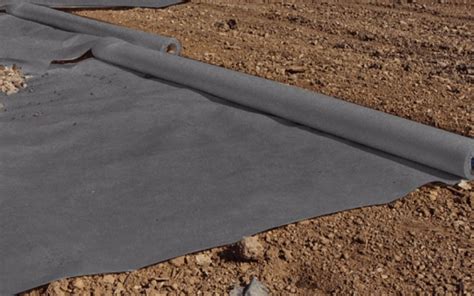 How To Lay Pavers On Dirt Backyard Advisor