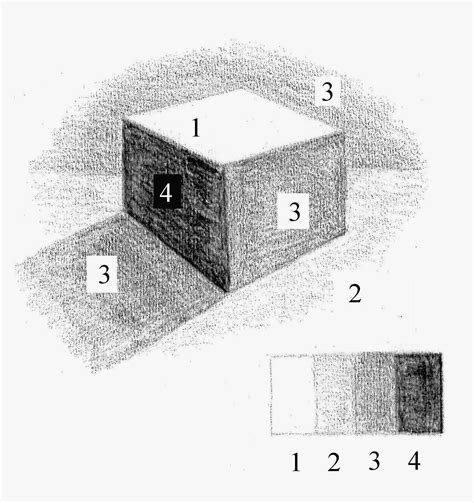Discover 180 Value Drawing And Pencil Shading Techniques Ideas High