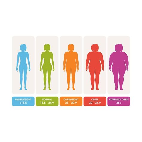 Premium Vector Body Mass Index Vector Illustration