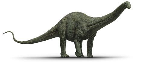 Jurassic World Fallen Kingdom Apatosaurus V2 By Sonichedgehog2 On