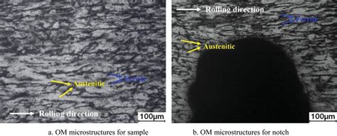 Figure Om Surface Microstructures Of Sample Download Scientific Diagram