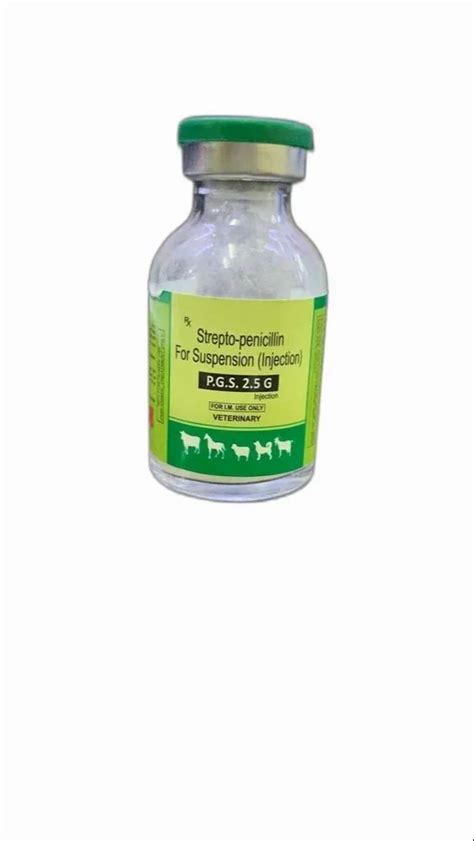 P G S 2 5gm Strepto Penicillin Injection At ₹ 91 Strepto Penicillin For Suspension Injection