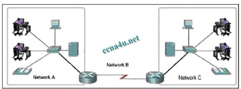 Ccna 1 Chapter 2 Question And Answer Cisco Question And Answer Cisco