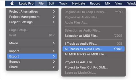 How To Bounce Stems In Logic Pro X Step By Step Hollyland