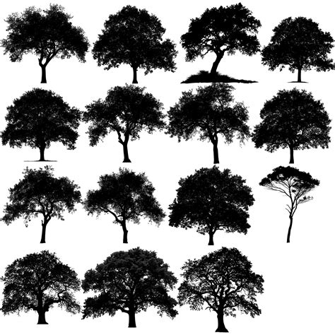 Realistic Trees Volume Photoshop Brushes Collection Stamps Paint Mask Alpha Opacity Nature
