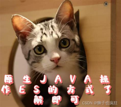 elasticsearch连续剧之实战篇java操作es 阿里云开发者社区