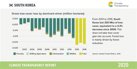 9 Tree Cover Loss Climate Transparency