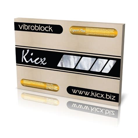Виброизоляция Kicx Expert Plus