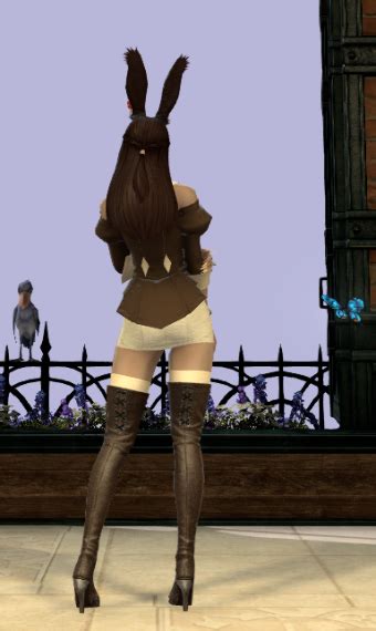 Simple Brown Eorzea Collection