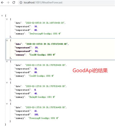 Netcore Ocelot Tnblog