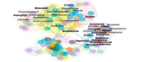 How The Respiratory Tract Microbiome Influences The Severity Of