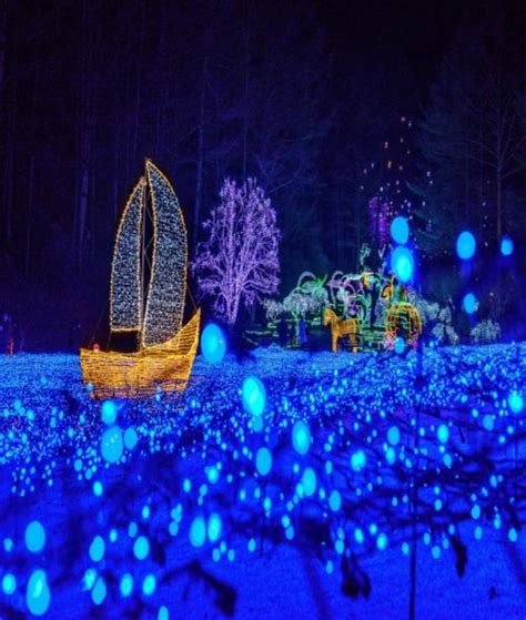 Kkday 한정특가｜화천 얼음낚시 아침고요수목원 오색별빛정원 전시 야간조명 일일투어 Kkday